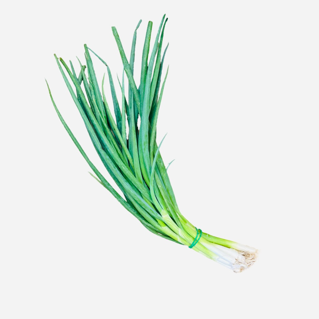 Spring Onion Bunch | Dunn & Walton | Organic Food Perth