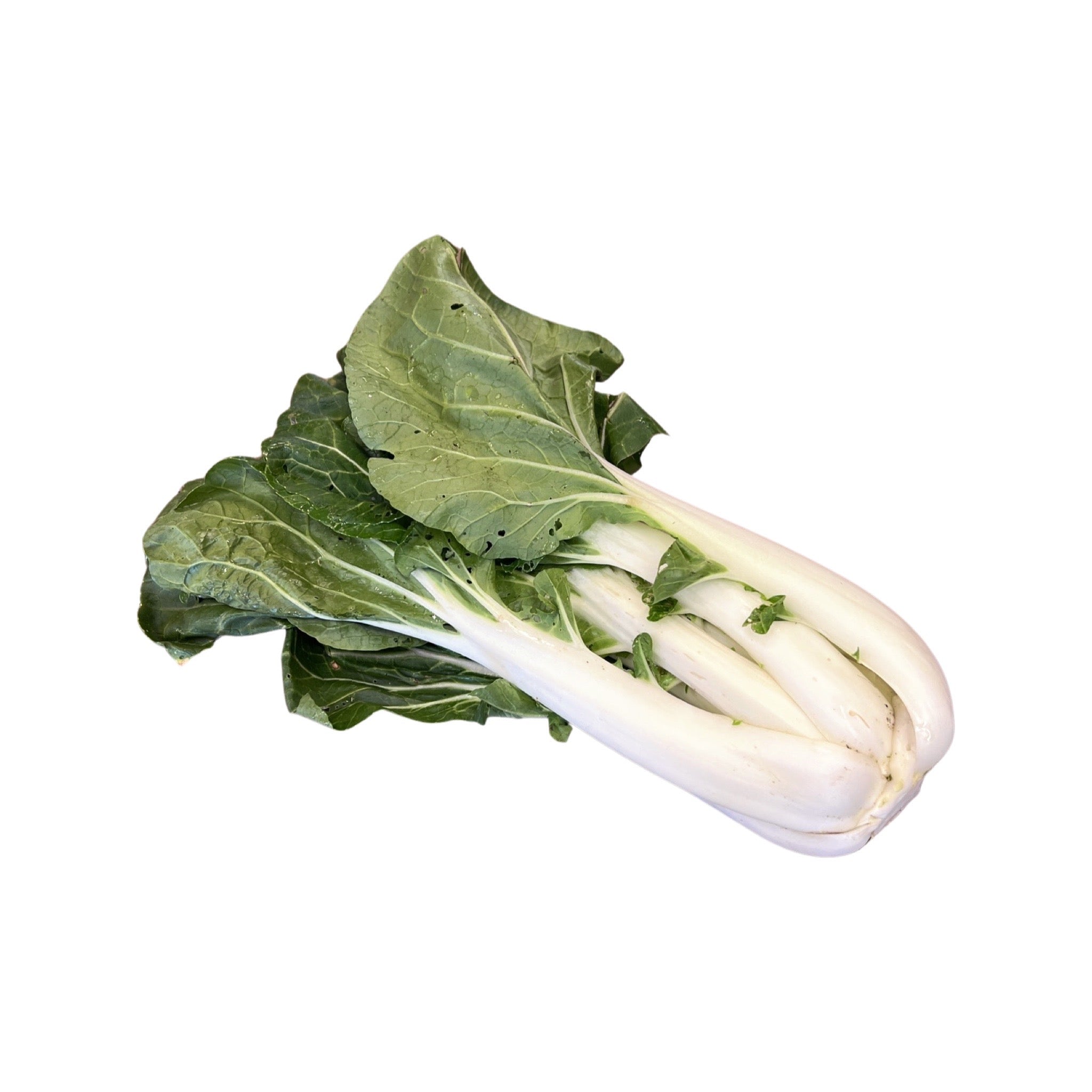 Bok Choi | Dunn & Walton | Organic Food Perth