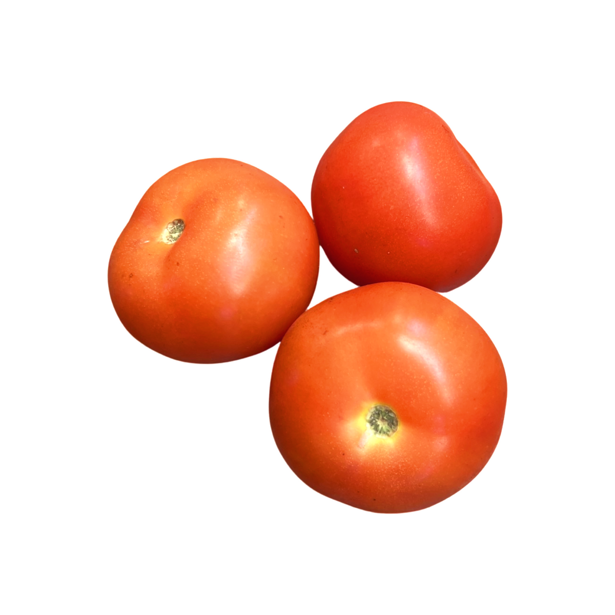 Tomato Round 500g | Dunn & Walton | Organic Food Perth
