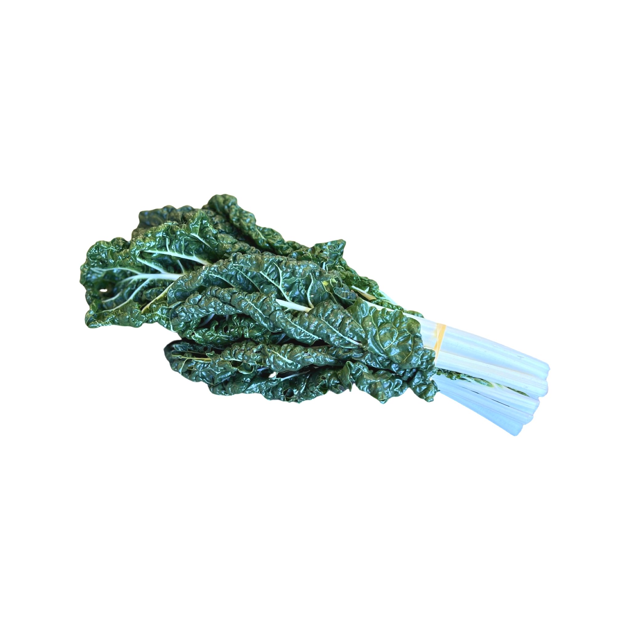 Silverbeet Bunch | Dunn & Walton | Organic Food Perth